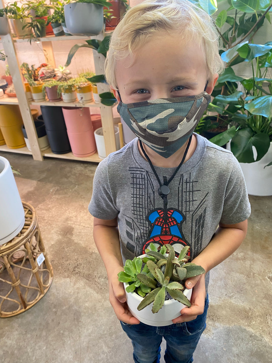 Pet and Child Friendly Plants – Lush Plant Co. Decatur