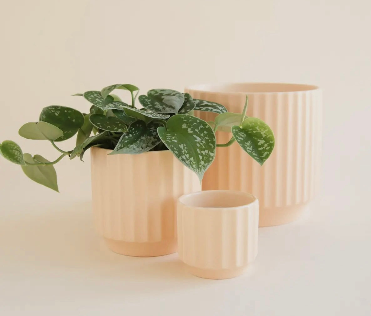 Monroe Pot – Lush Plant Co. Decatur