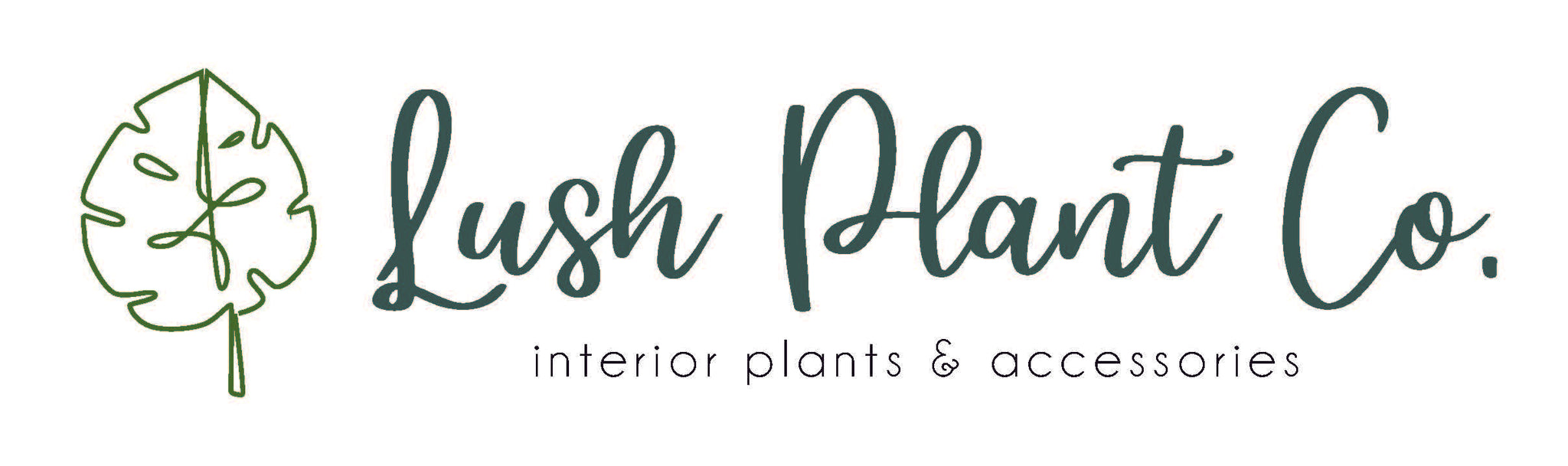Lush Plant Co. - Interior Plants & Accessories – Lush Plant Co. Decatur
