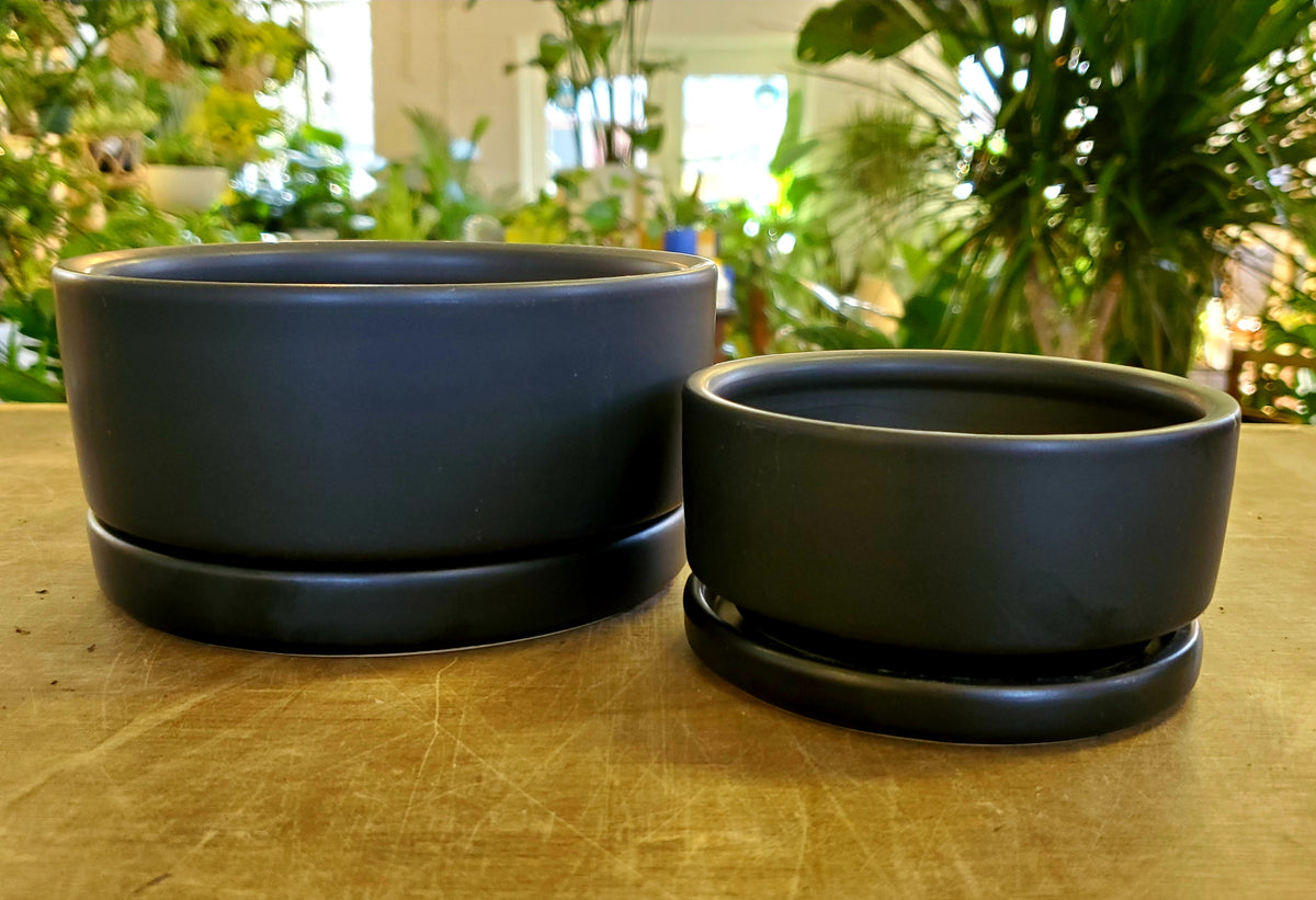 Momma Pot - Black – Lush Plant Co. Decatur