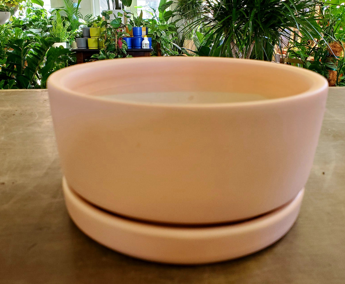 Momma Pots - Blush – Lush Plant Co. Decatur